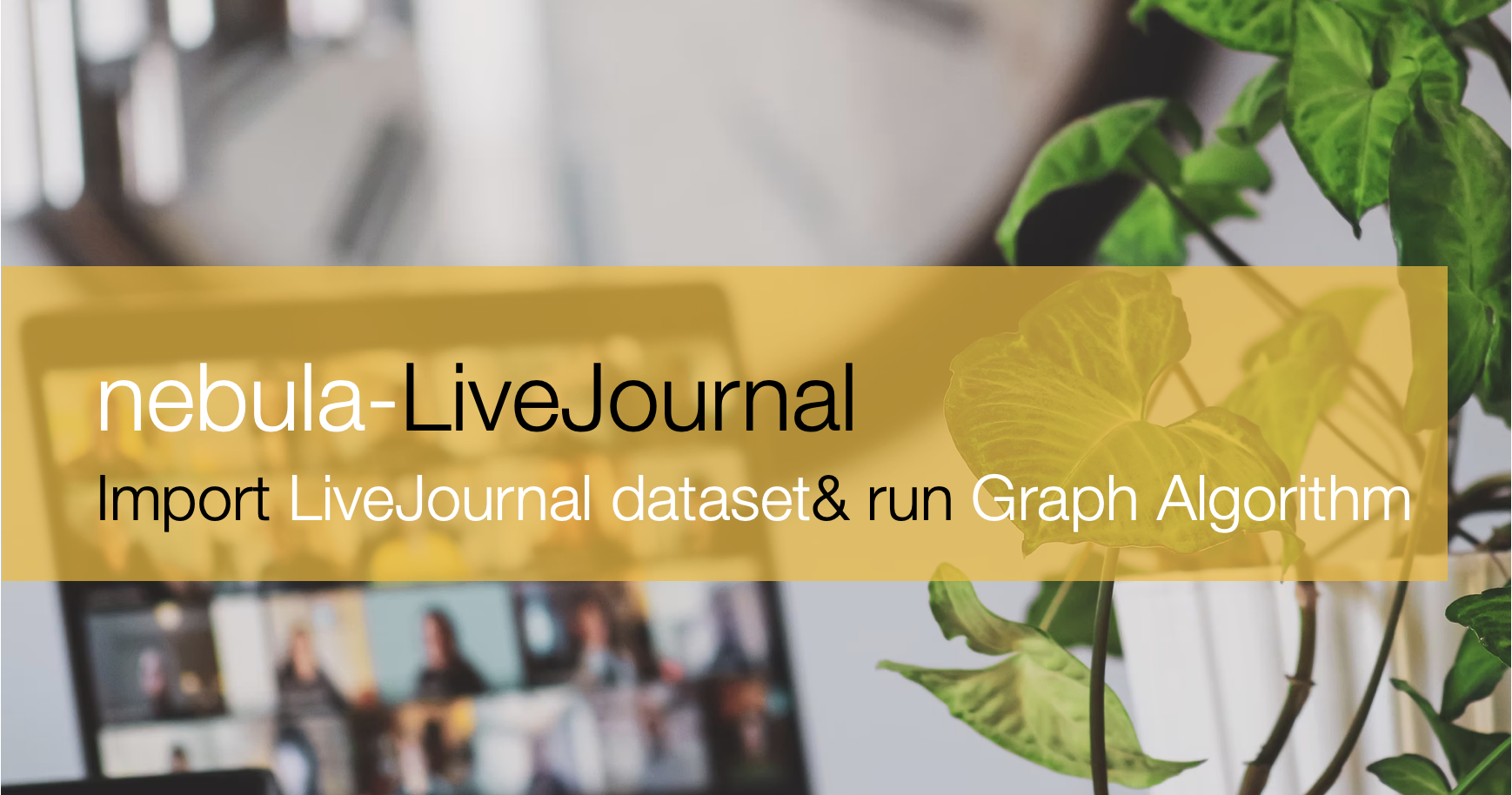 Nebula LiveJournal, Import LiveJournal Dataset into Nebula Graph and Run Nebula Algorithm - siwei.io